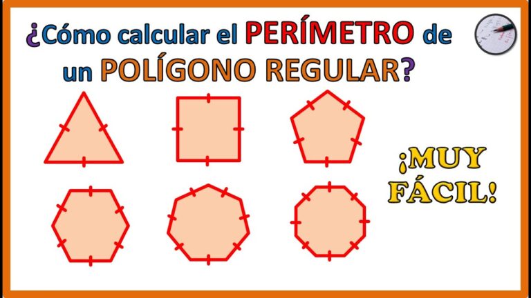 Cómo calcular el perímetro de diferentes polígonos