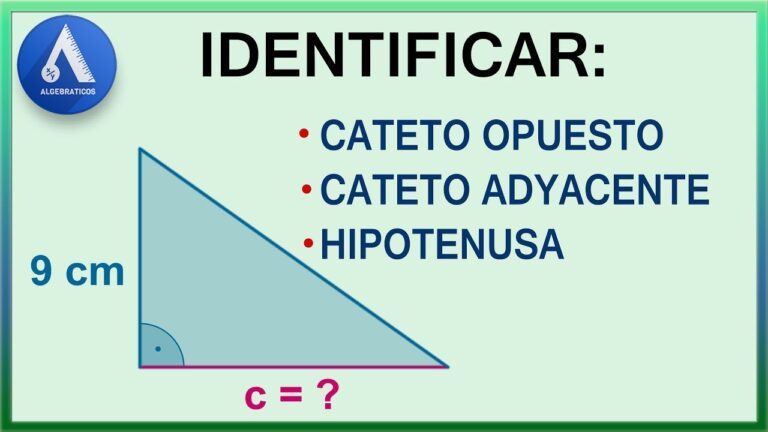 Cómo identificar el cateto opuesto y adyacente